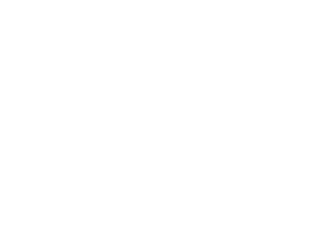 2025 Mid-Year Market Review - Channel Wealth